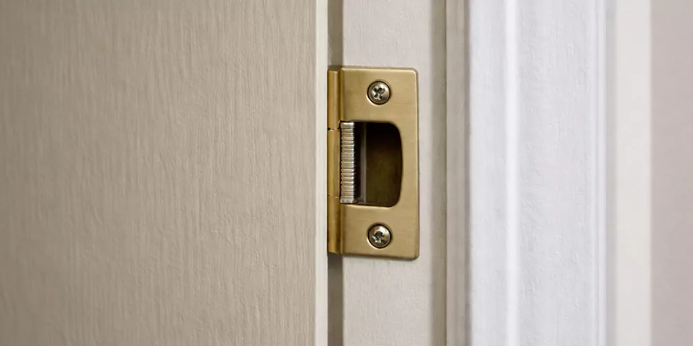 Door Strike Plate: Types, Sizes, and How to Fix Common Problems | Titan ...